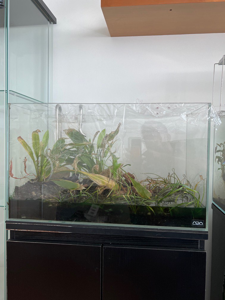 ADA Aquarium fish tank 2 ft leak, Pet Supplies, Homes & Other Pet ...