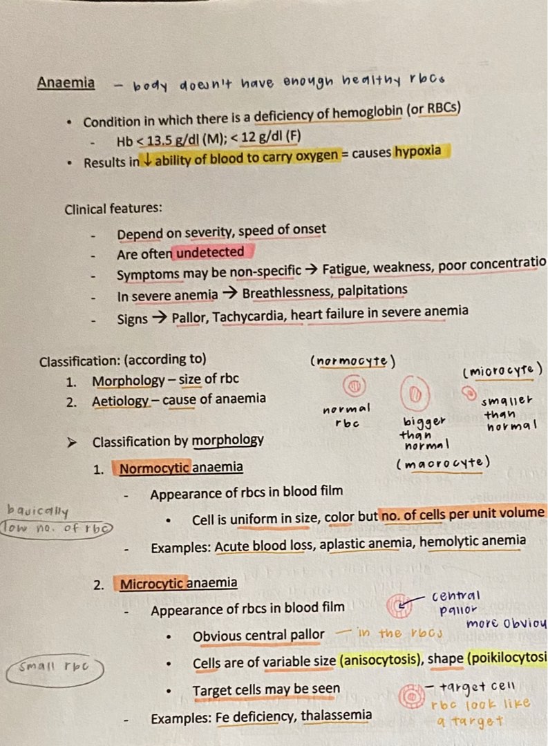 anaemia notes (nursing), Hobbies & Toys, Books & Magazines, Textbooks ...