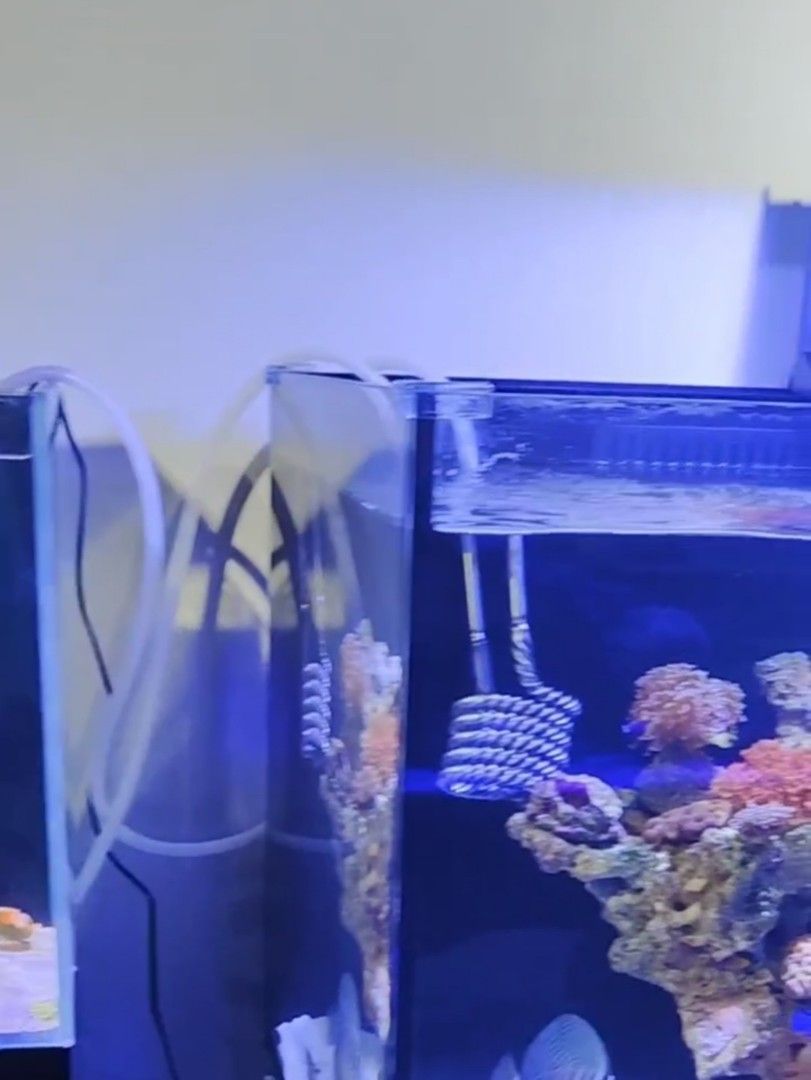 Aquarium chiller platinum coil, Pet Supplies, Homes & Other Pet ...