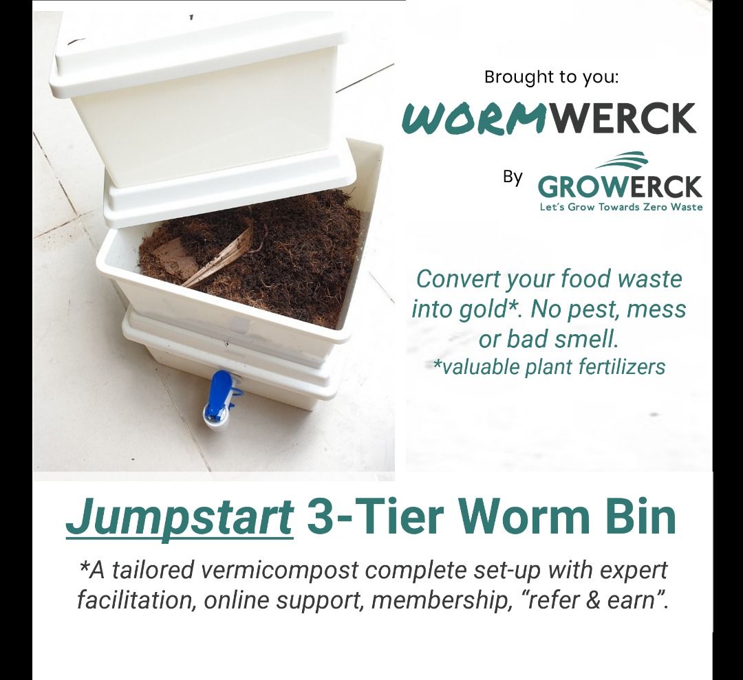 Compost Worm Bin / Vermicompost Bin / Worm Composting Bin / Earthworm ...