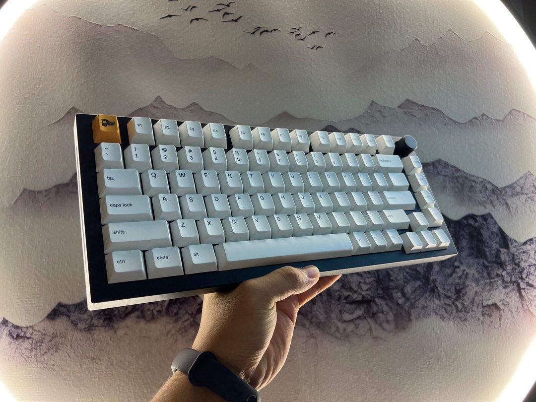 Custom Modded Fully Built GMMK Pro, Computers & Tech, Parts & Accessories, Computer Keyboard on ...