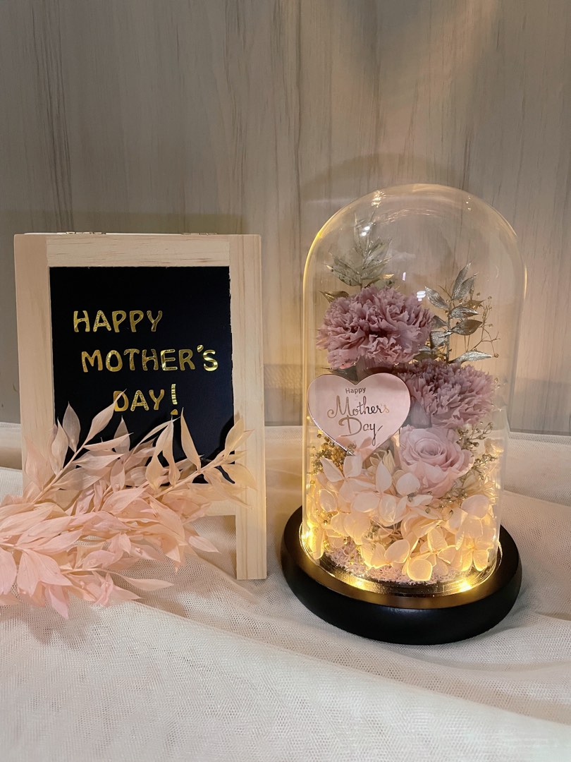 Dainty dust pink preserved carnations in glass dome, Hobbies & Toys ...