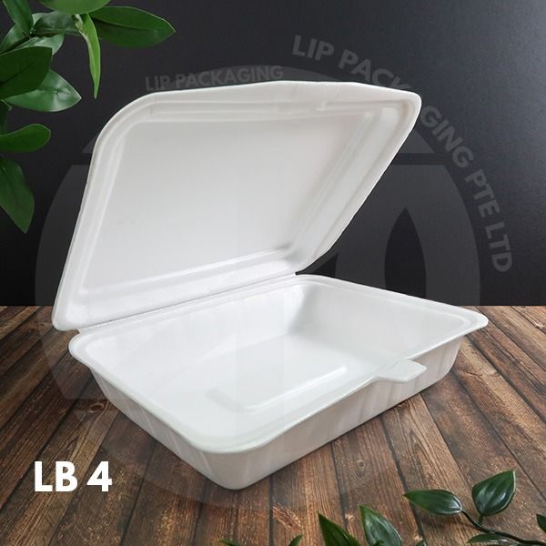 Foam Lunch Boxes / Styrofoam Food Box / Lunchbox, Furniture & Home ...