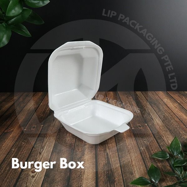 Foam Lunch Boxes / Styrofoam Food Box / Lunchbox, Furniture & Home ...