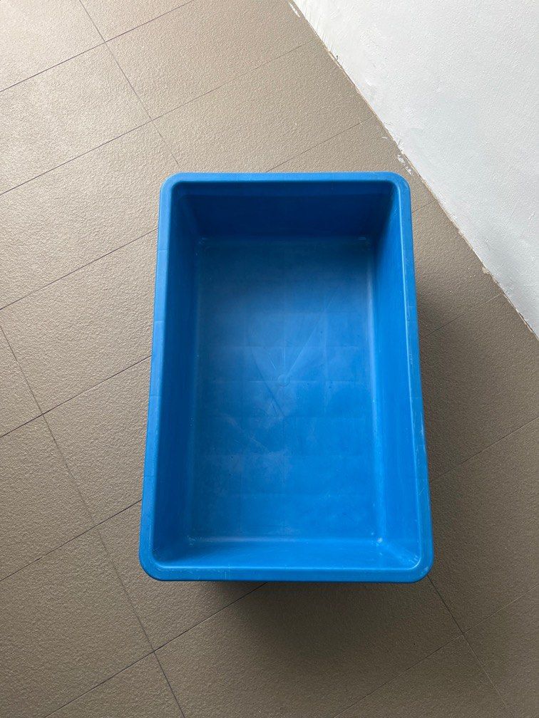 Plastic fish tub, Pet Supplies, Homes & Other Pet Accessories on Carousell