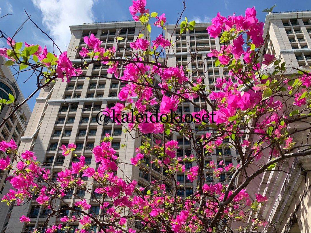 RENAISSANCE 2000 Ortigas Center Pasig on Carousell