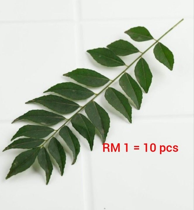 RM1 = 10PCS DAUN KARI DARI KAMPUNG, Furniture & Home Living, Gardening ...