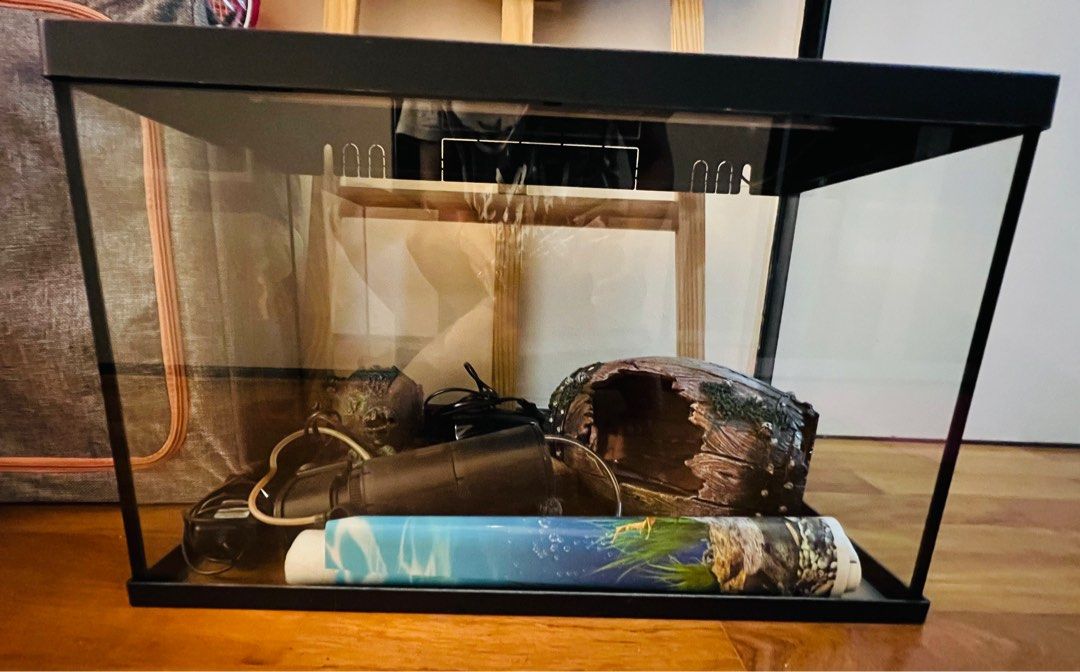 Classica 2 feet tank, Pet Supplies, Homes & Other Pet Accessories on ...