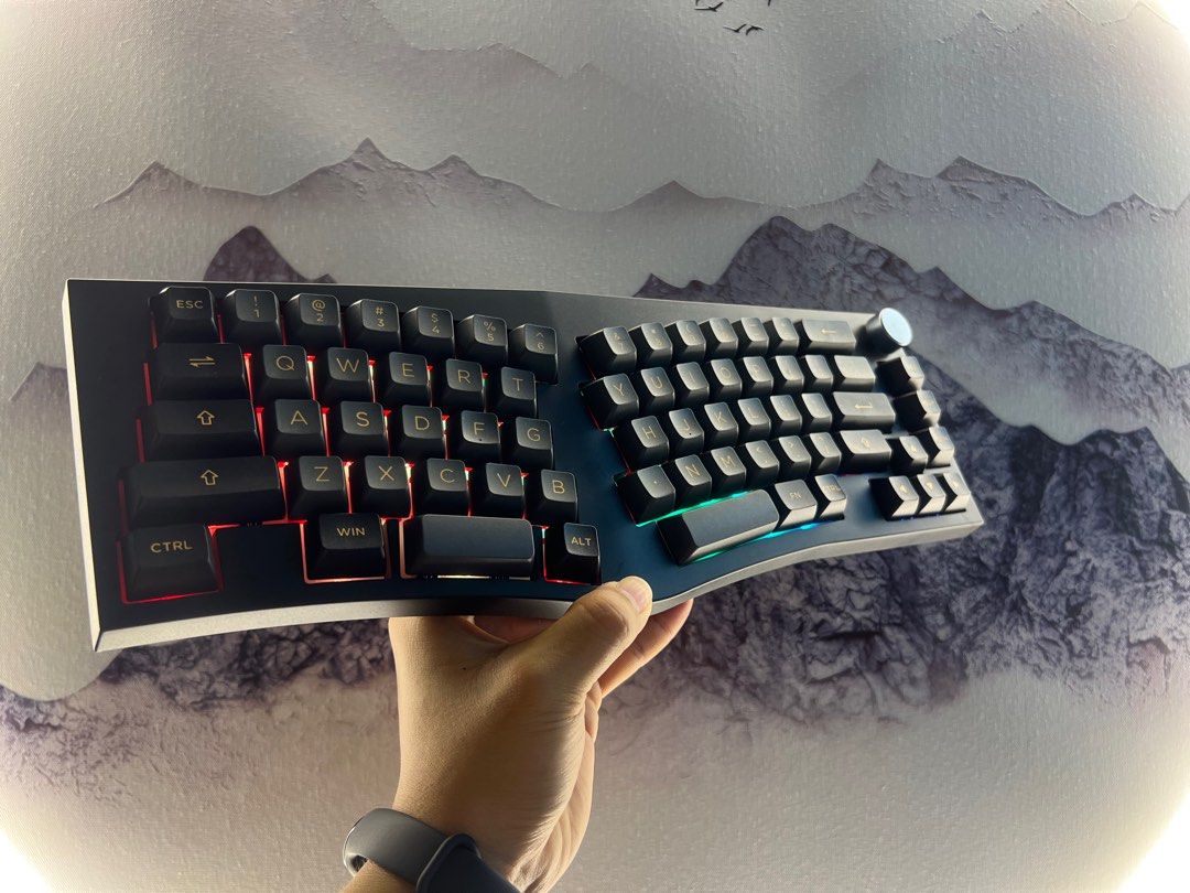 Custom Fekker Alice 80 ergonomic mechanical keyboard, Computers & Tech ...