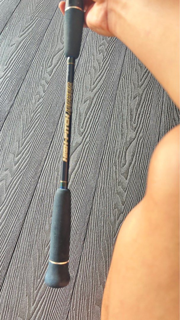 Evergreen Poseidon jigging rod, Sports Equipment, Fishing on Carousell