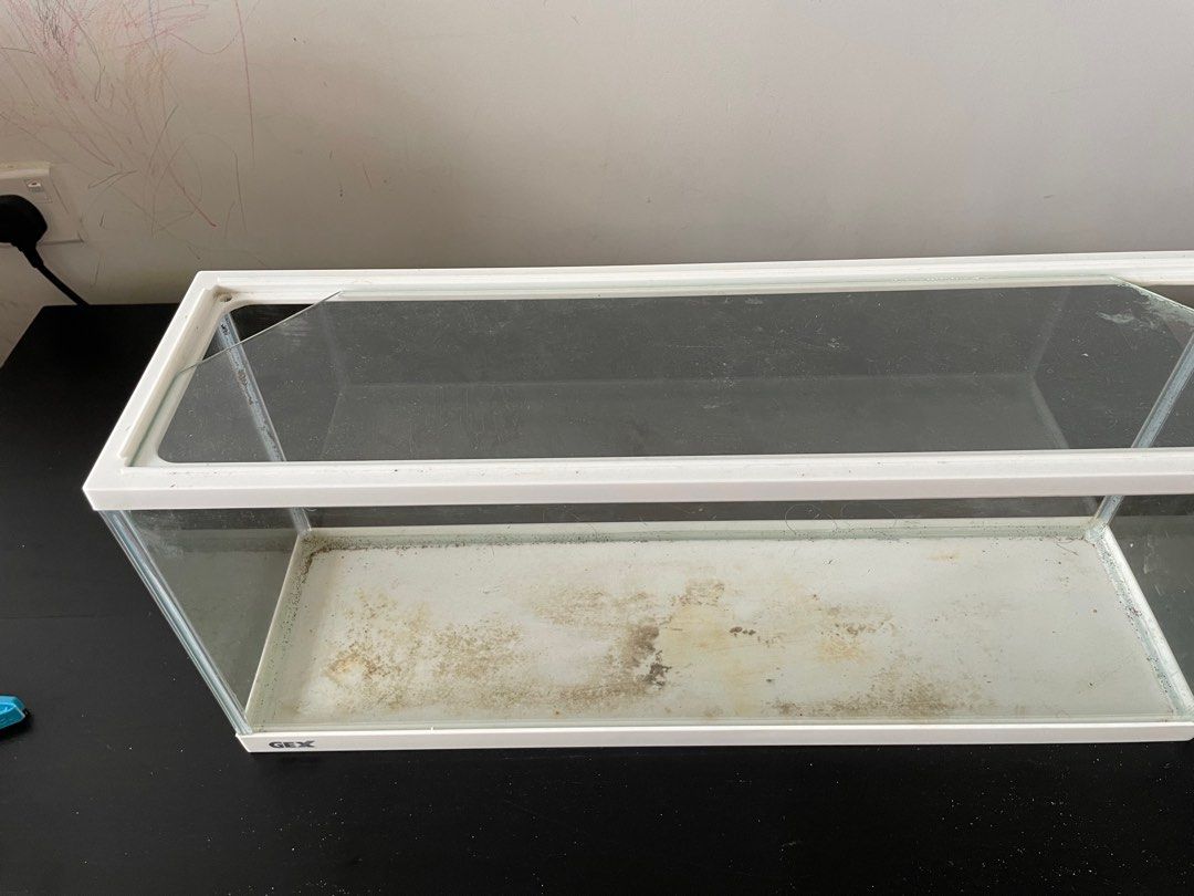 Fish Tank Gex Deskboy 600, Pet Supplies, Homes & Other Pet Accessories on Carousell