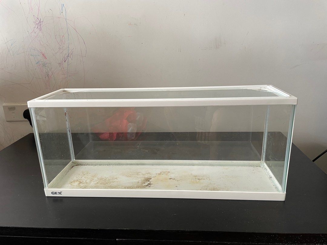 Fish Tank Gex Deskboy 600, Pet Supplies, Homes & Other Pet Accessories on Carousell