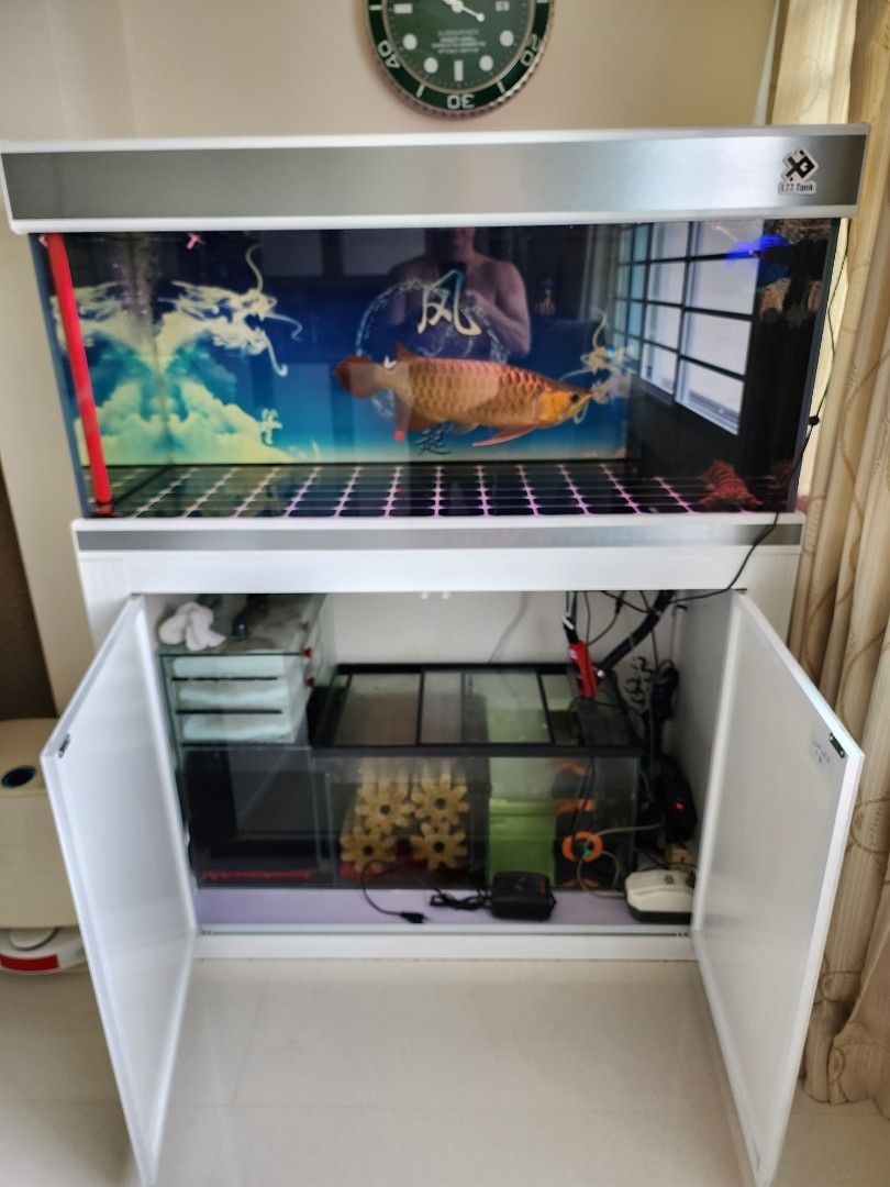 Fish tank L77, Pet Supplies, Homes & Other Pet Accessories on Carousell