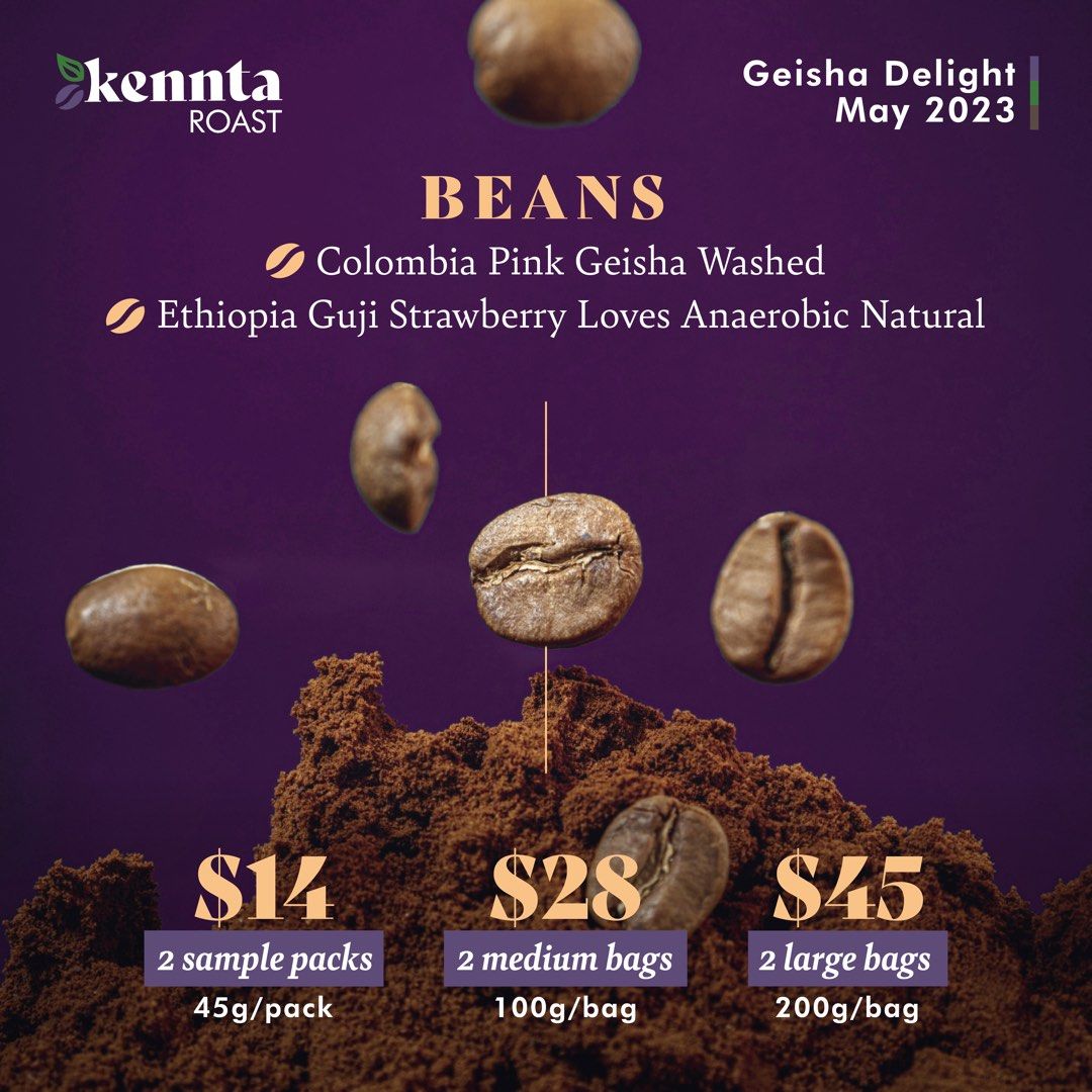 Geisha Delight May 2023 Coffee Bean Bundle, Food & Drinks, Beverages on ...