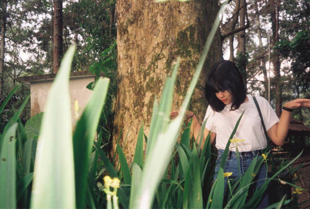 Kyocera Zoomate 70Z + Freebies, Photography, Cameras on Carousell