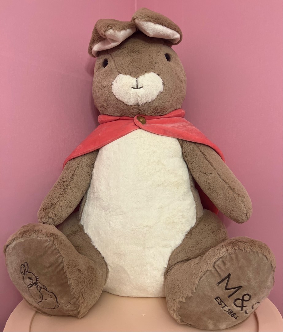 Large Peter Rabbit Flopsy Soft Toy, 興趣及遊戲, 玩具 & 遊戲類 - Carousell