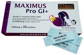 Maximus Pro GI+ for Cats and Dogs (PROBIOTIC INTESTINAL HEALTH ...