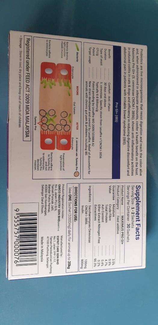 Maximus Pro GI+ for Cats and Dogs (PROBIOTIC INTESTINAL HEALTH ...