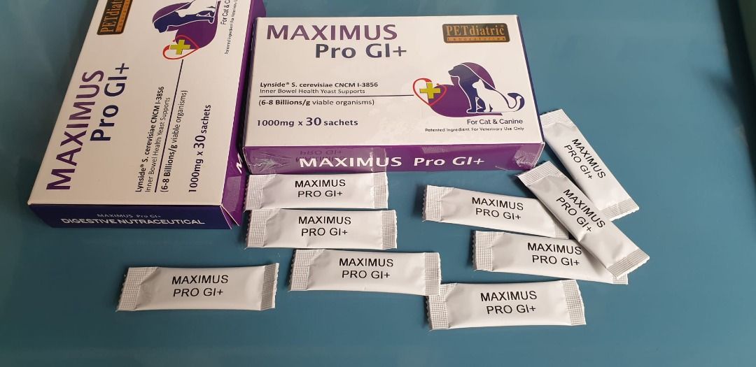 Maximus Pro GI+ for Cats and Dogs (PROBIOTIC INTESTINAL HEALTH ...