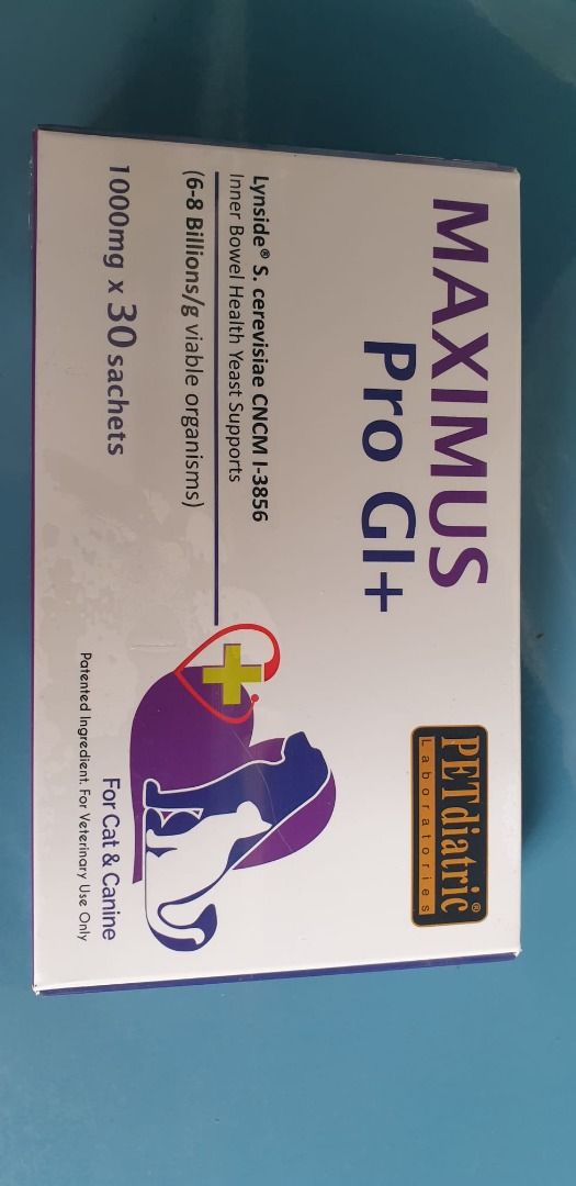 Maximus Pro GI+ for Cats and Dogs (PROBIOTIC INTESTINAL HEALTH ...