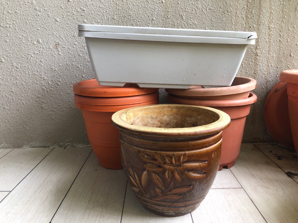 Medium and large pots and planters, Furniture & Home Living, Gardening ...