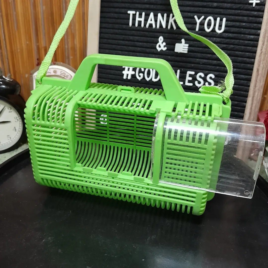 Plastic Insect Cage on Carousell