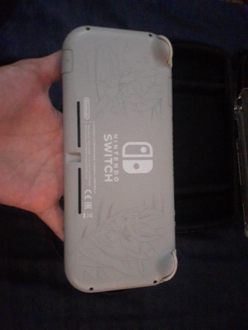 Rush nintendo switch lite, Video Gaming, Video Game Consoles, Nintendo ...