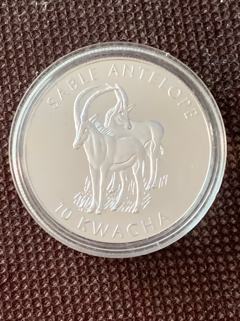 Sable Antelope Proof Coin, Hobbies & Toys, Memorabilia & Collectibles ...