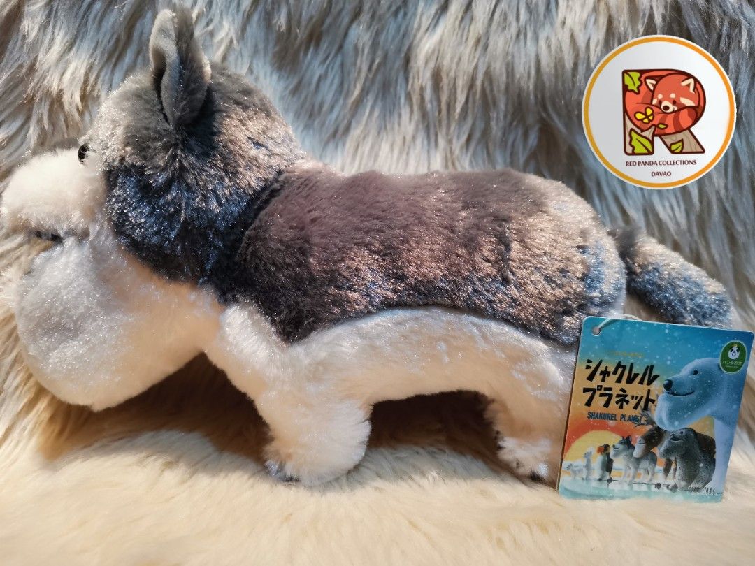 Shakurel Planet Siberian Husky Stufftoy Plush on Carousell