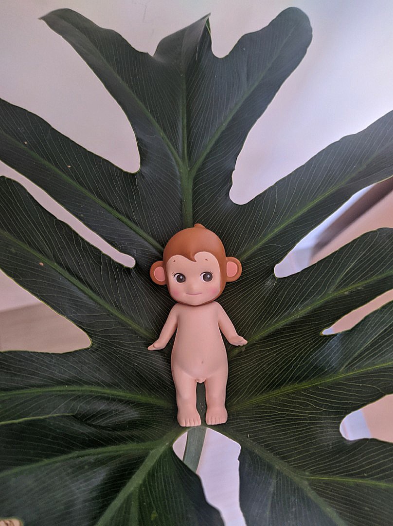 Sonny Angel Monkey, Hobbies & Toys, Toys & Games on Carousell