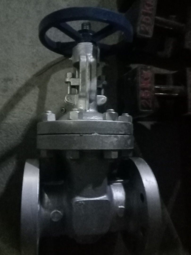 STEAM VALVES on Carousell