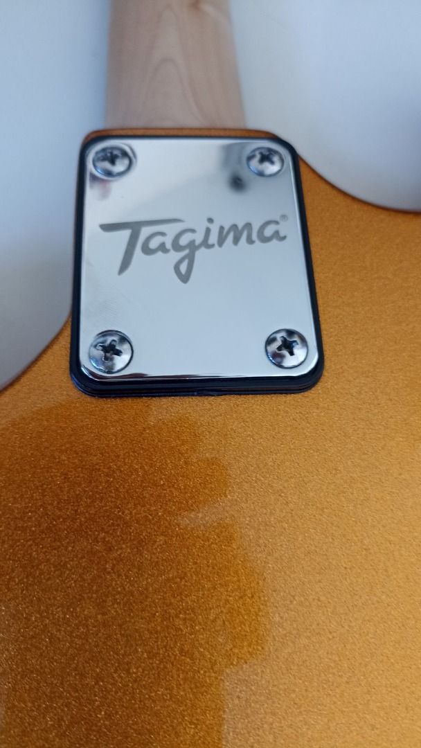 TAGIMA TG-500 S-STYLE WOODSTOCK SERIES - Electric Guitar, Hobbies ...