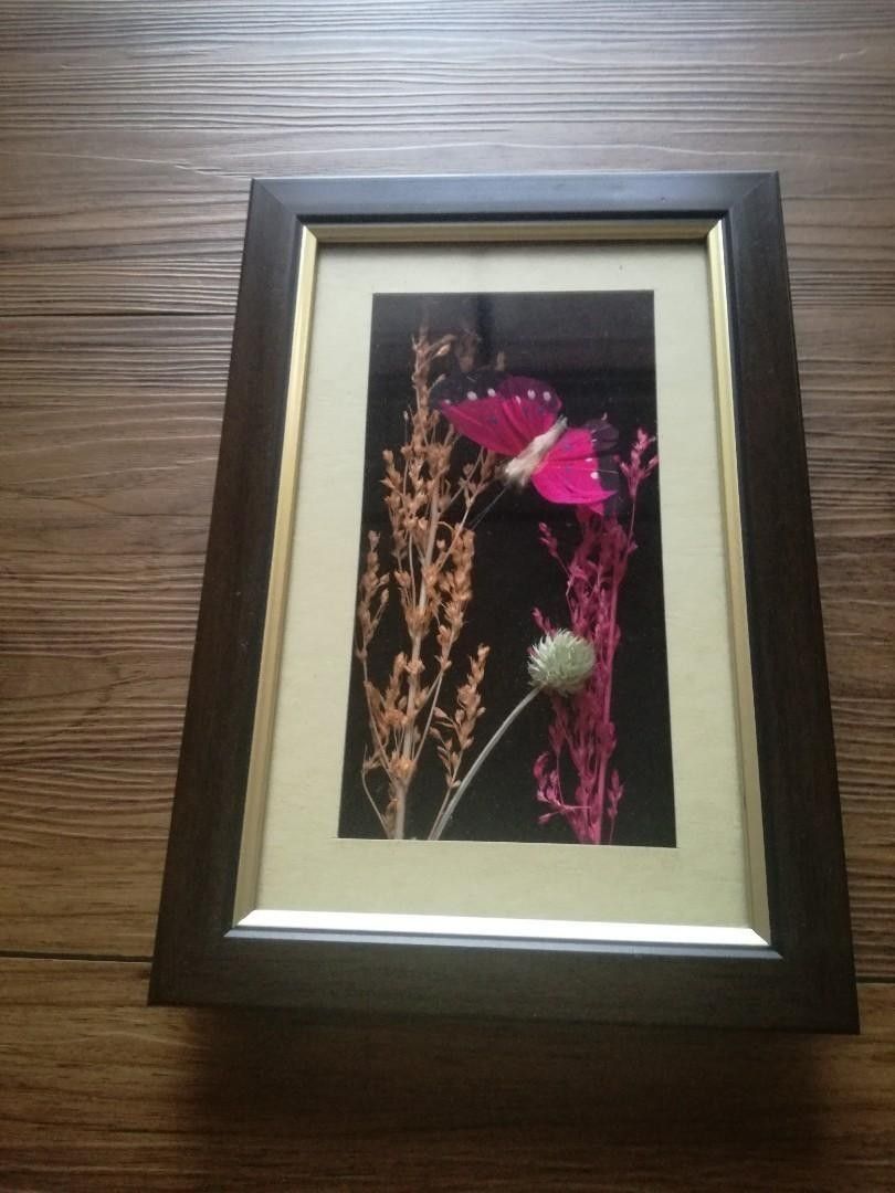2 frames colorful dyed damaged flower and butterfly and sea snails ...