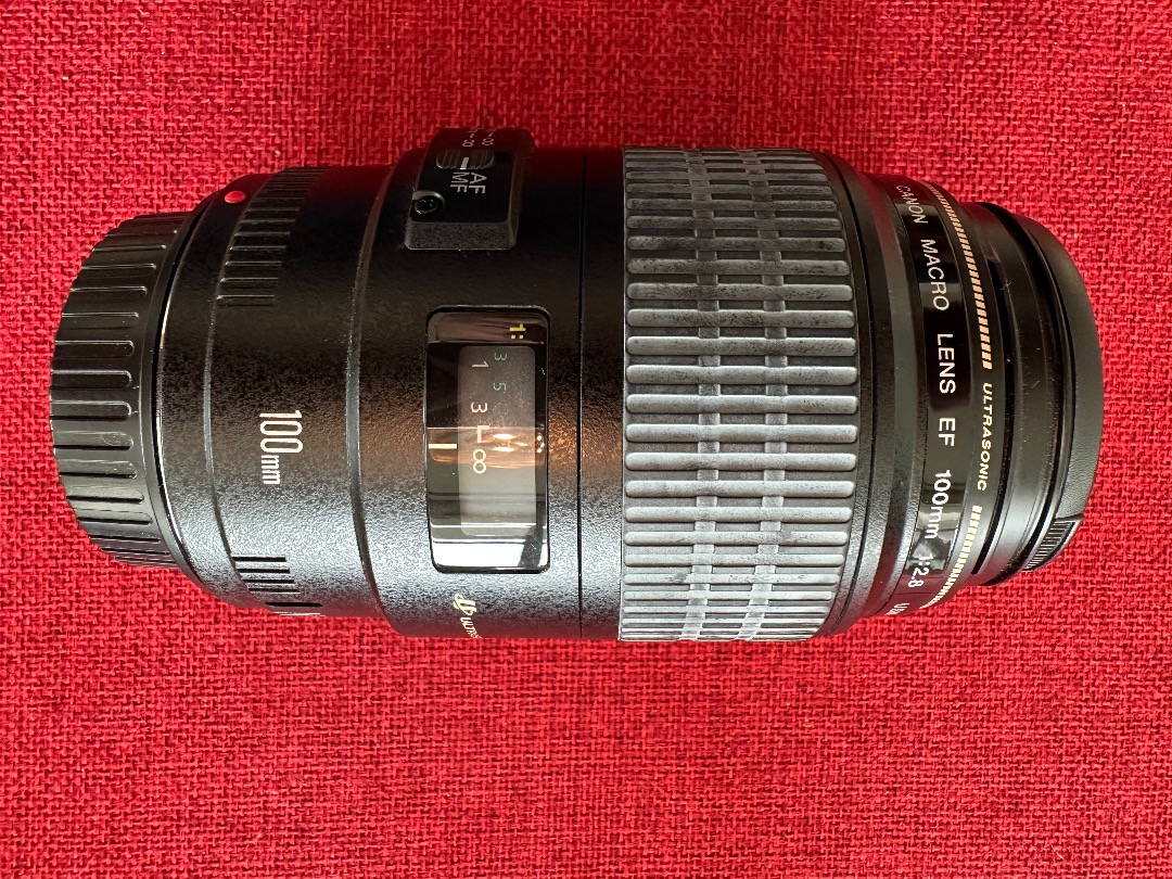 Canon EF 100mm f/2.8 USM Macro Lens, Photography, Lens & Kits on Carousell