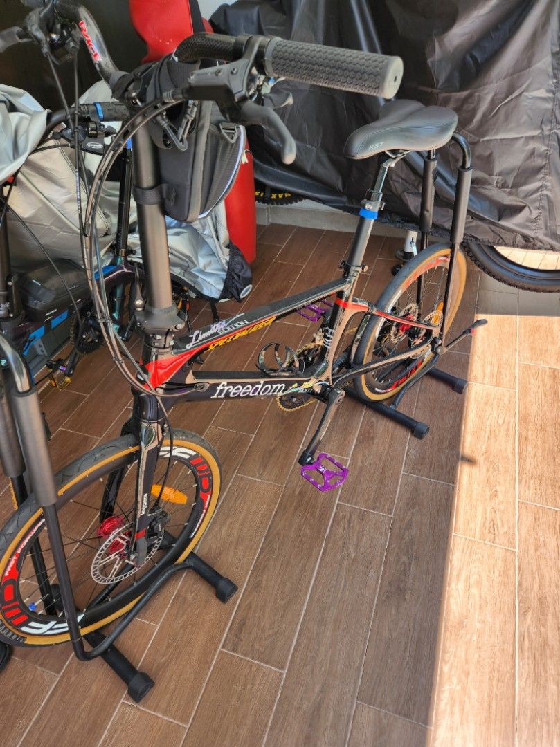 Full Carbon Mini Velo with upgraded to 105 Shimano 11 Speed Set up ...