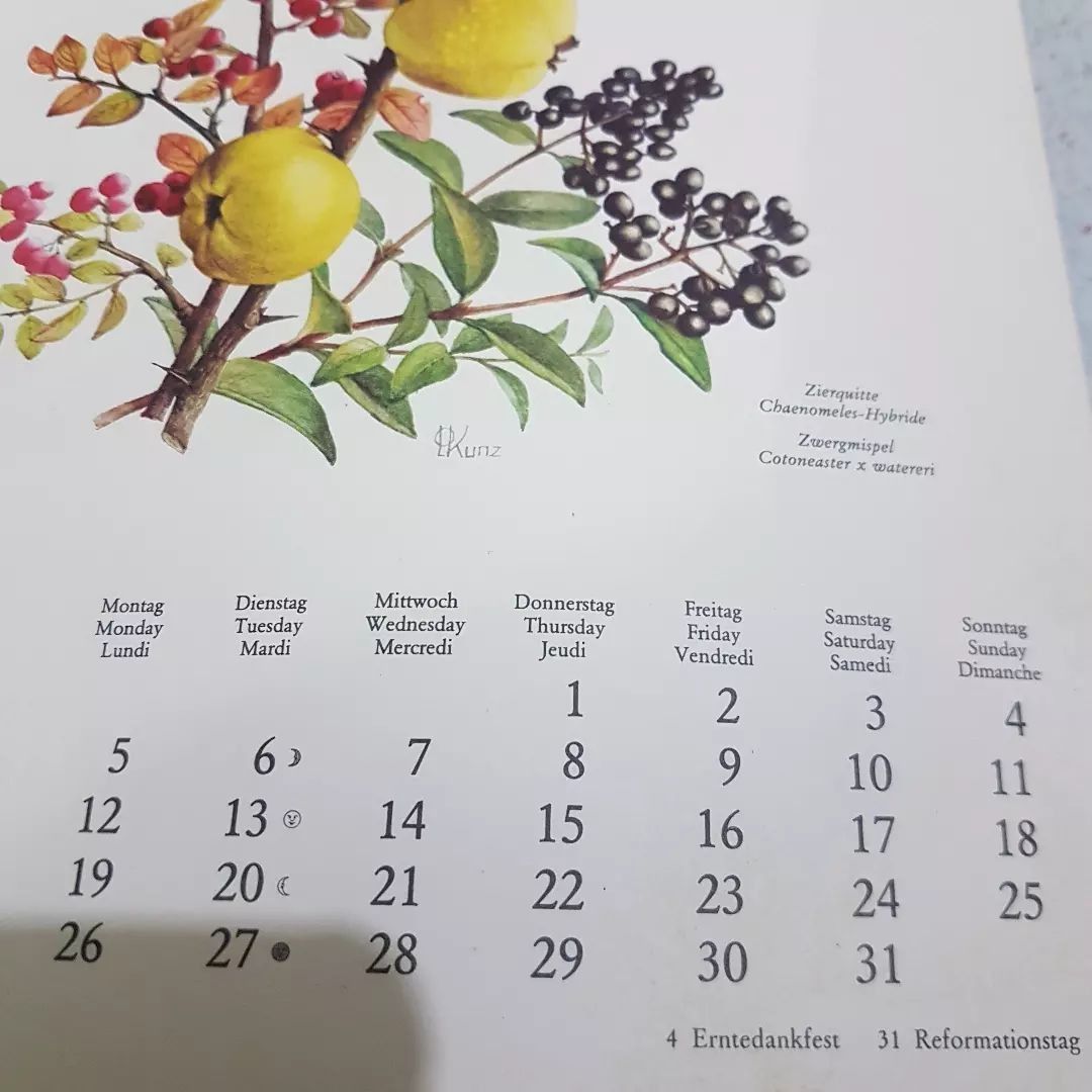 Kalender asli cetakan 1981 Jerman bulan Oktober 1981 gambar bunga ...