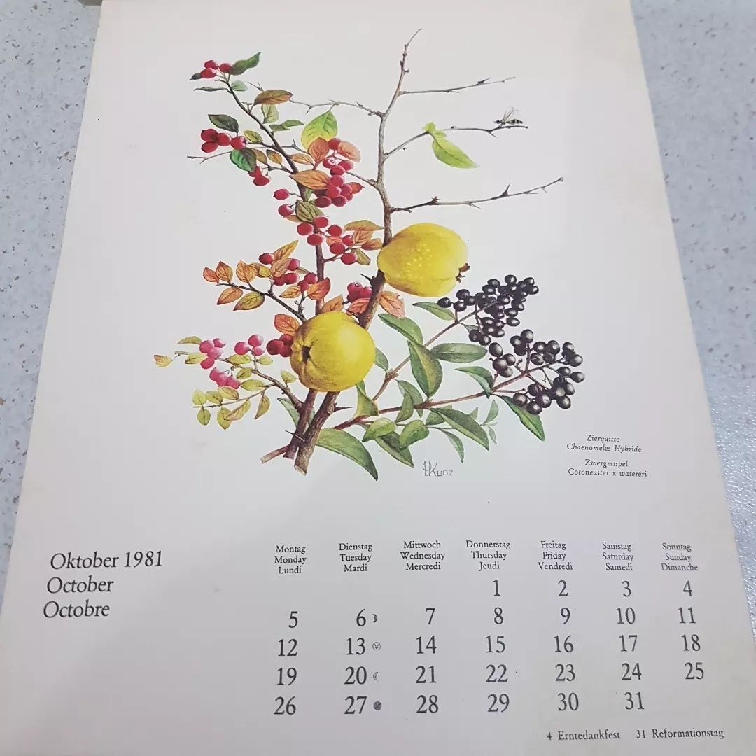 Kalender asli cetakan 1981 Jerman bulan Oktober 1981 gambar bunga ...