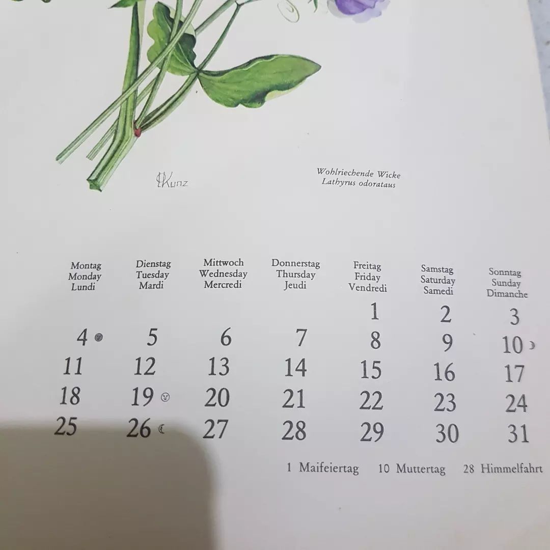 Kalender asli cetakan 1981 Jerman bulan Mei 1981 gambar bunga ...