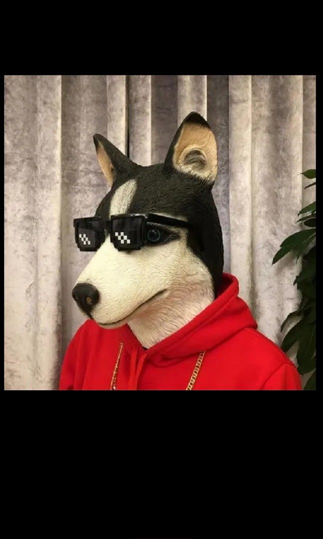 Realistic Latex Horse Dog Husky Animal Movie Masks, Hobbies & Toys ...