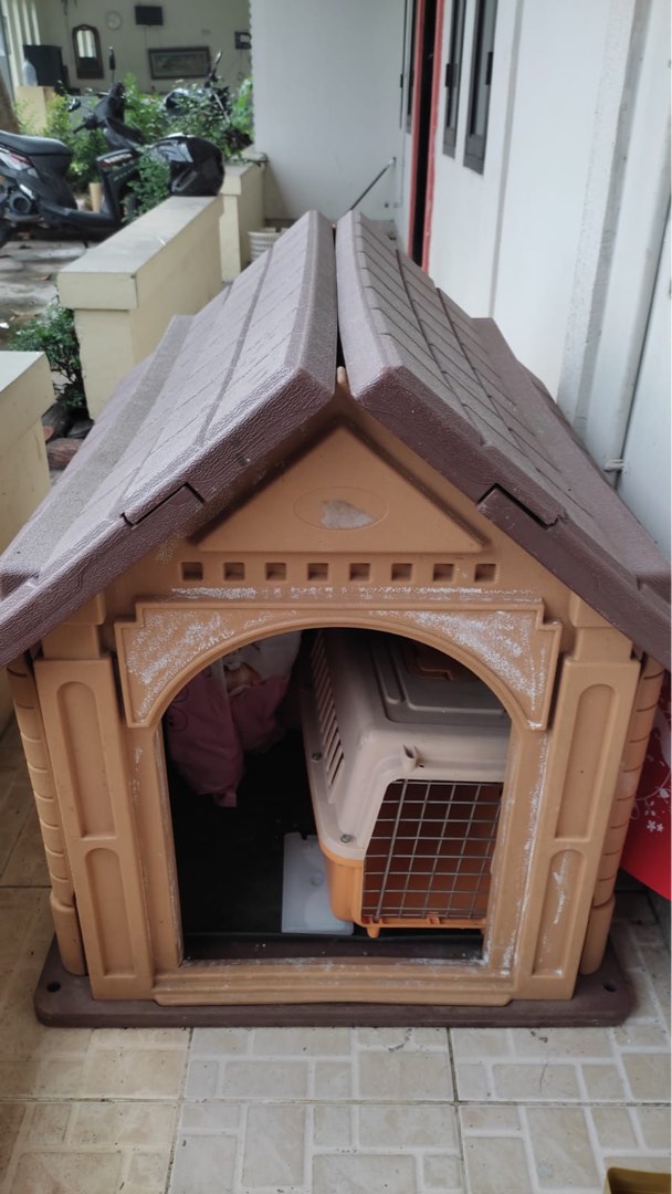 Rumah anjing atau kucing, Perlengkapan Hewan, Aksesoris Hewan di Carousell Rumah anjing atau kucing, Perlengkapan Hewan, Aksesoris Hewan di Carousell