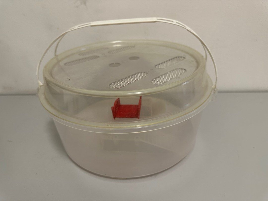 Turtle/ Frog Carrier, Pet Supplies, Homes & Other Pet Accessories on ...