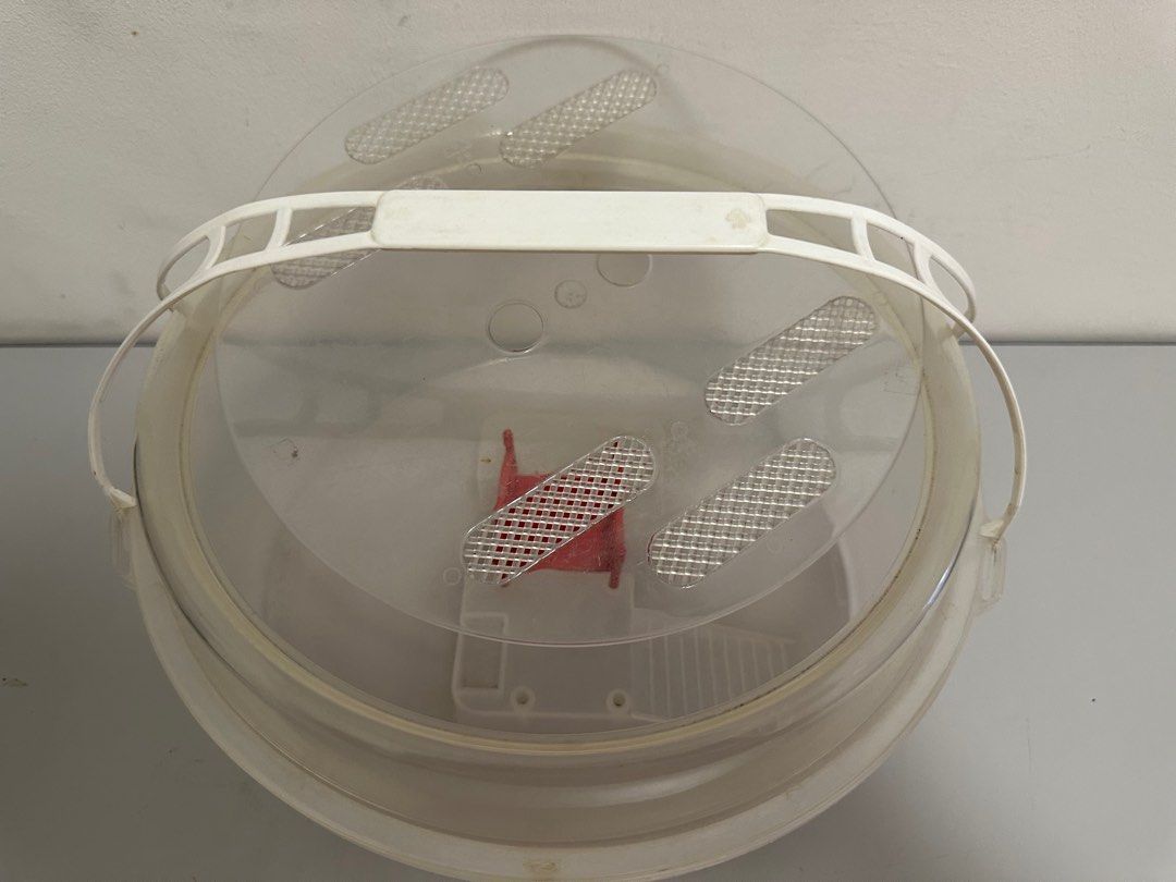 Turtle/ Frog Carrier, Pet Supplies, Homes & Other Pet Accessories on ...