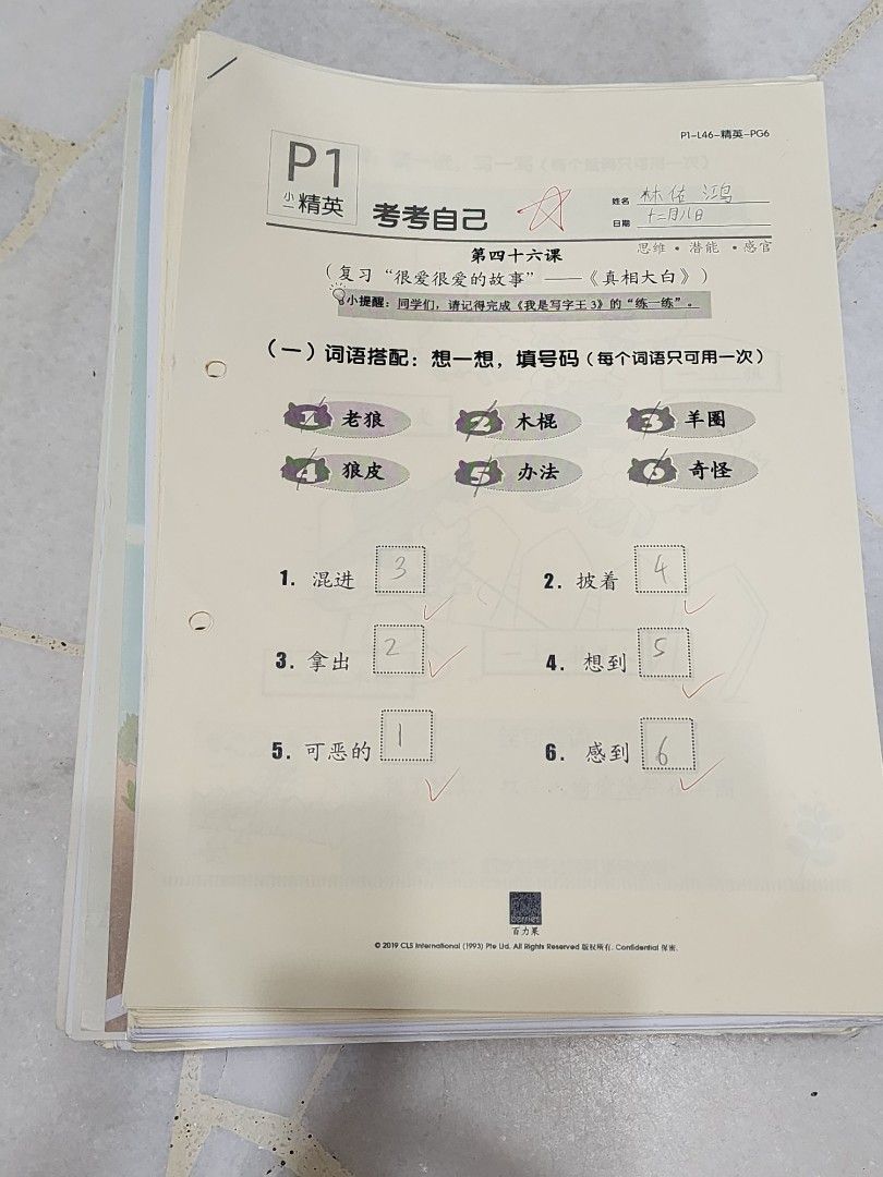 Used P1 Chinese Practice Worksheets from Berries, Hobbies & Toys, Books ...