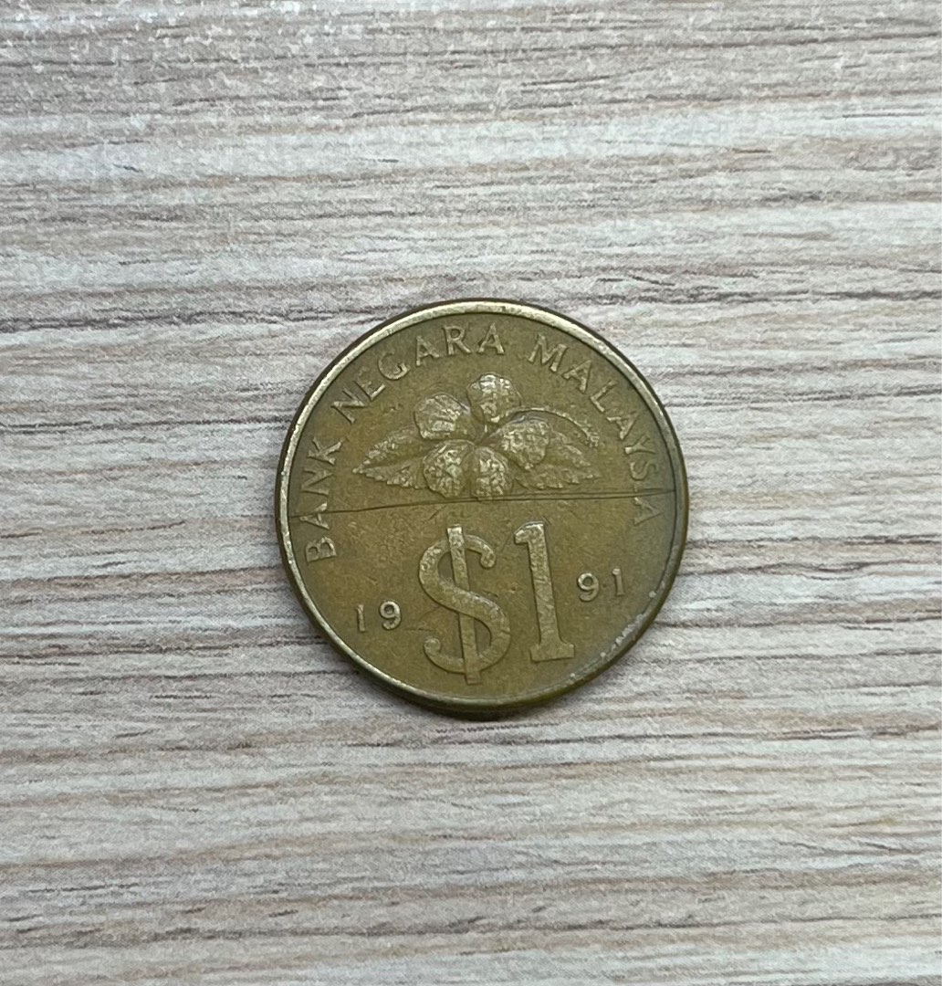 Vintage 1 Ringgit Coin - 1991, Hobbies & Toys, Memorabilia ...