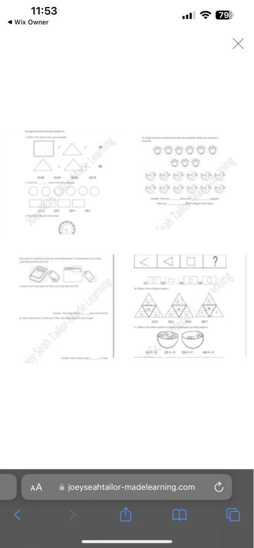2023 AEIS MATHS PAPER PRI2, Learning & Enrichment, Enrichment & Tuition ...
