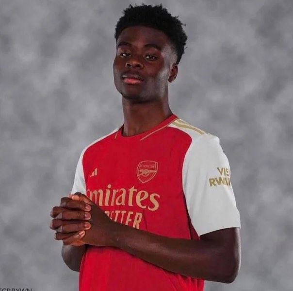 Arsenal FC 23/24 Home Football Jersey Player Version, Men's Fashion ...