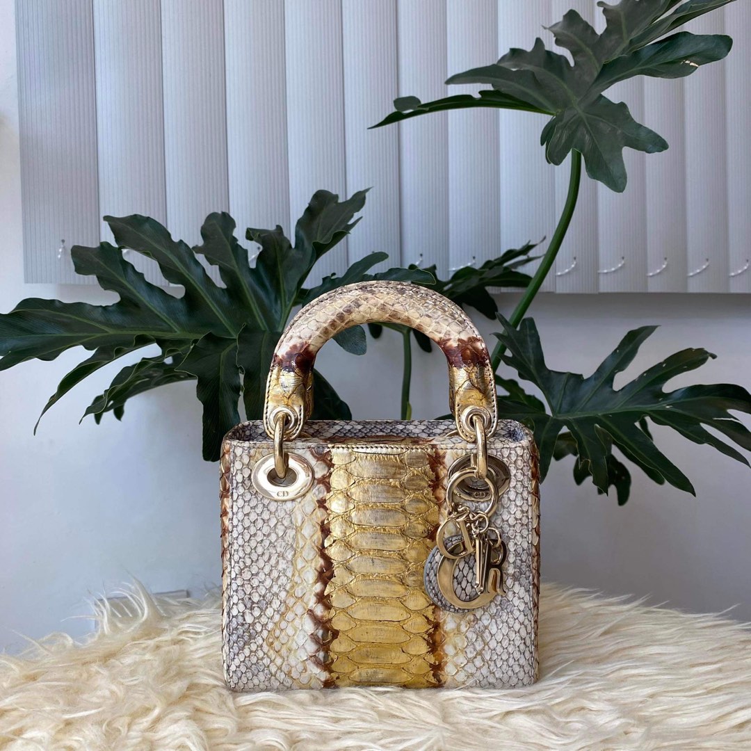 Christian Dior Mini Snakeskin, Luxury, Bags & Wallets on Carousell