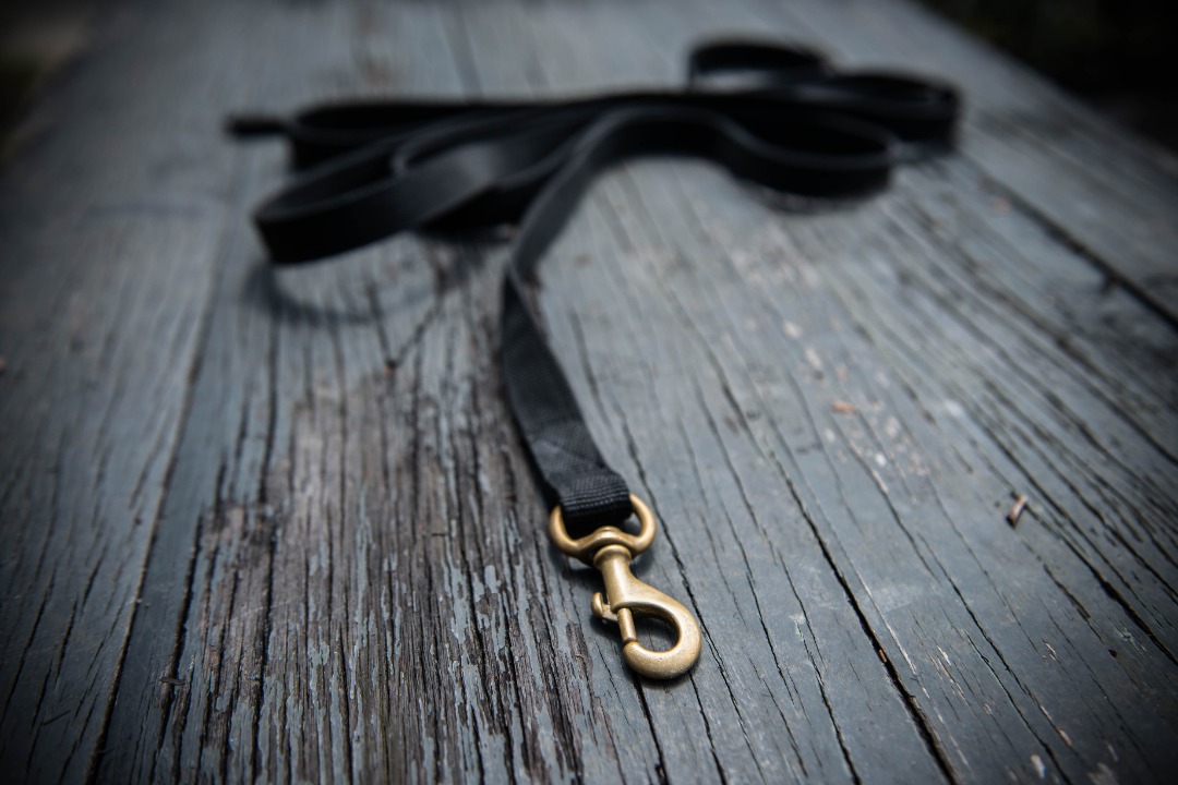 Custom DDK9 3 Meter, 5 Meter, 10 Meter Leashes, Pet Supplies, Homes ...