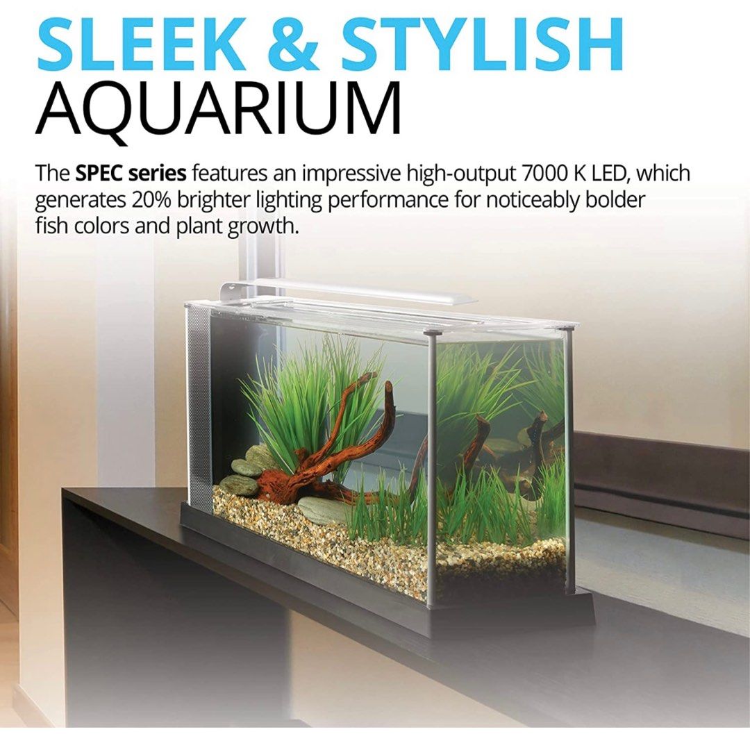 FLUVAL SPEC 10L & 19L, Pet Supplies, Homes & Other Pet Accessories on ...