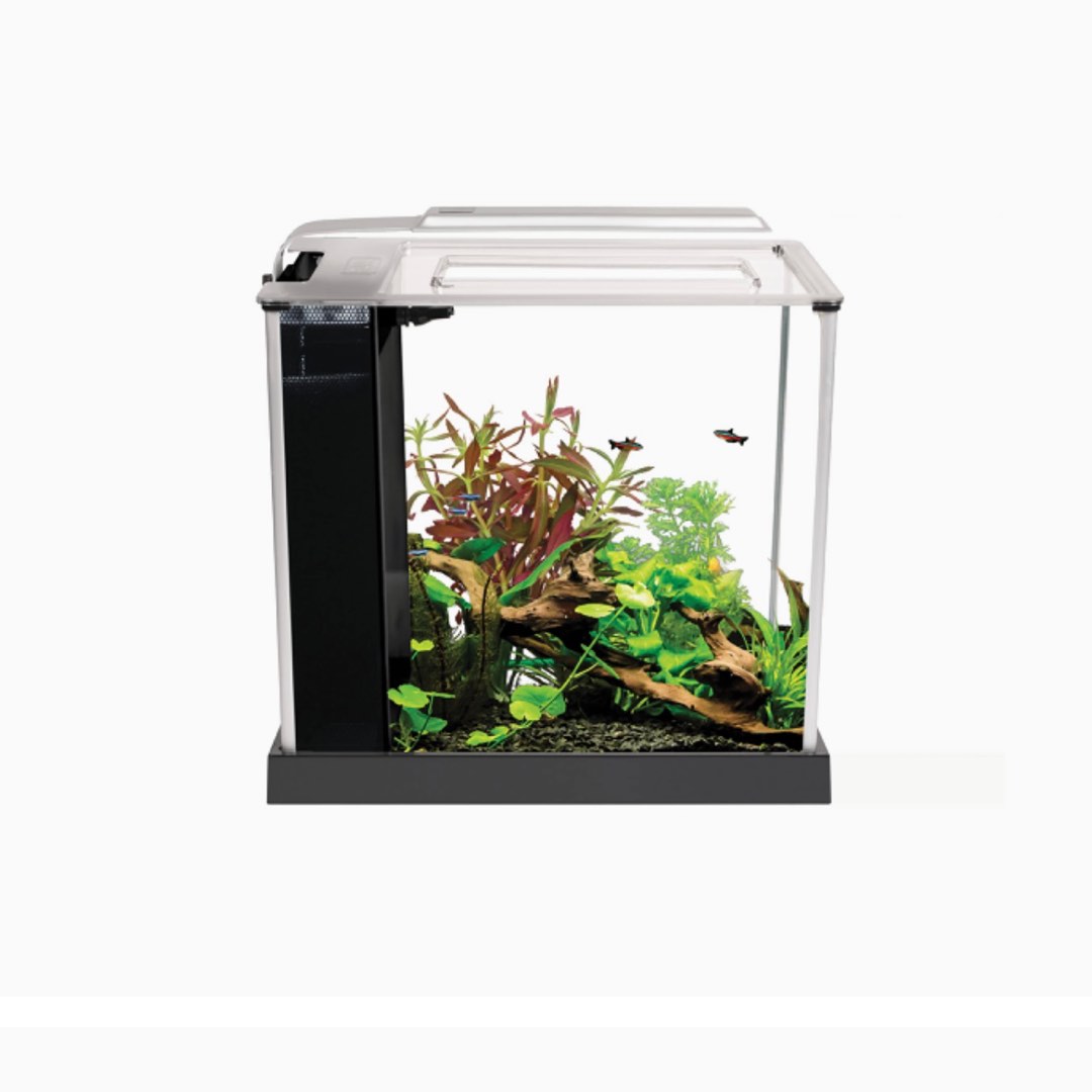 FLUVAL SPEC 10L & 19L, Pet Supplies, Homes & Other Pet Accessories on ...